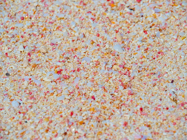 Pink Sand Beach Bermuda - Free photo on Pixabay