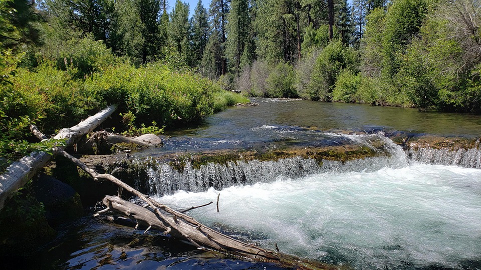 Creek Water Waterfall - Free photo on Pixabay