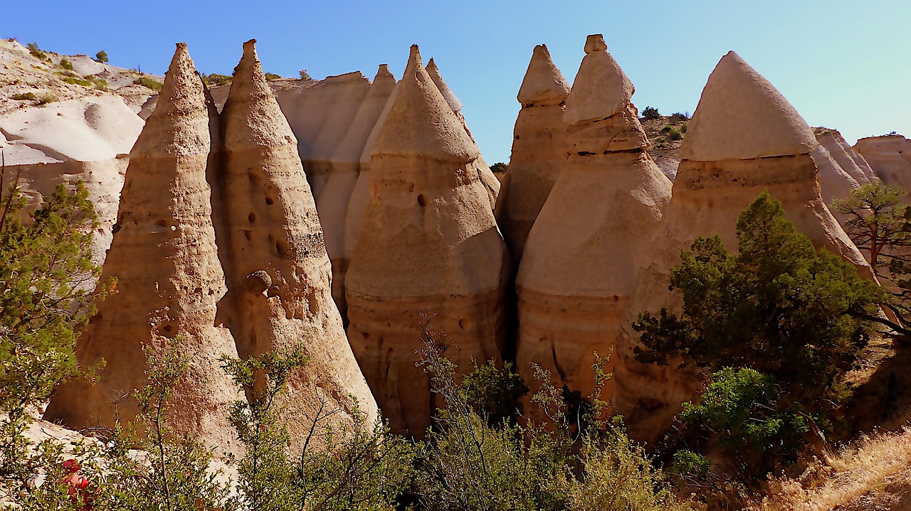 Nature Parc Amérique - Photo gratuite sur Pixabay - Pixabay