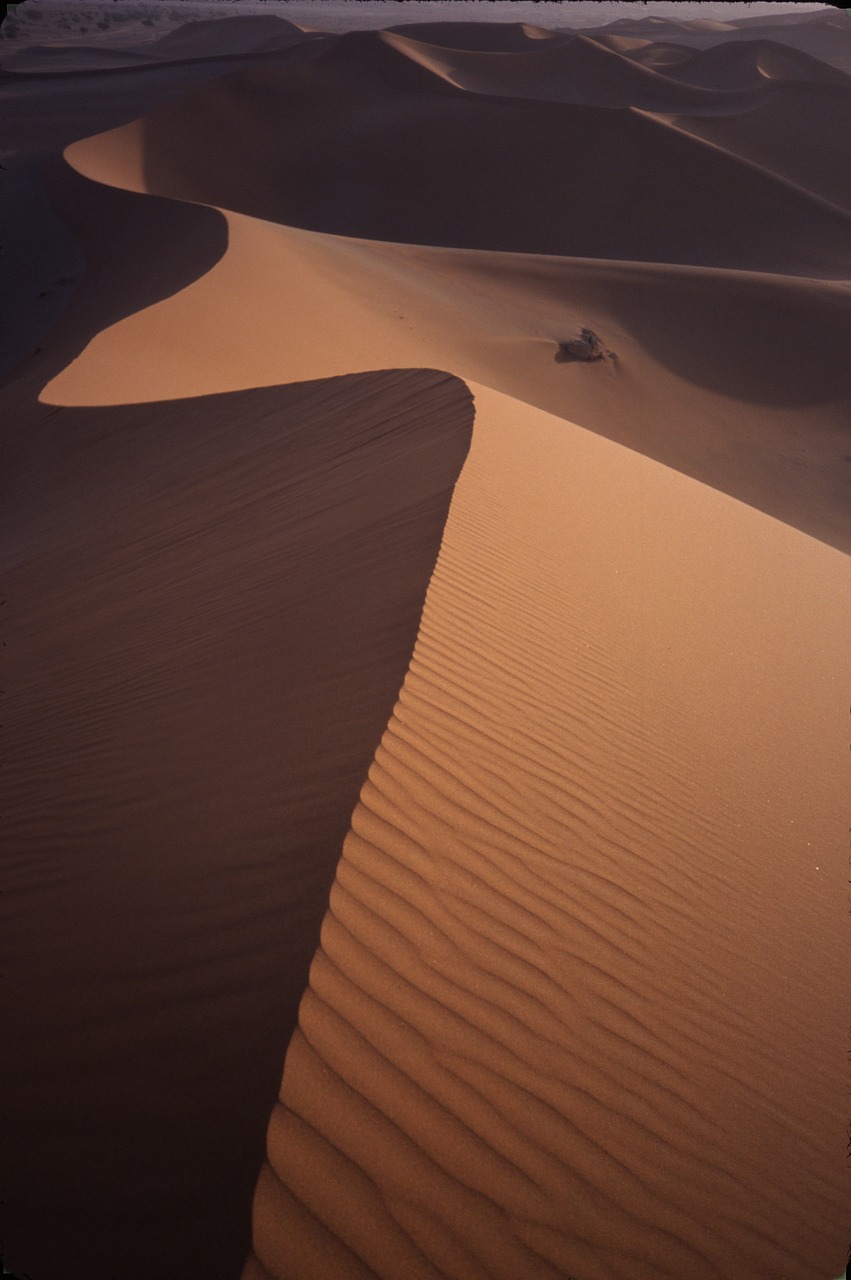Dunes Namibia Africa - Free photo on Pixabay - Pixabay