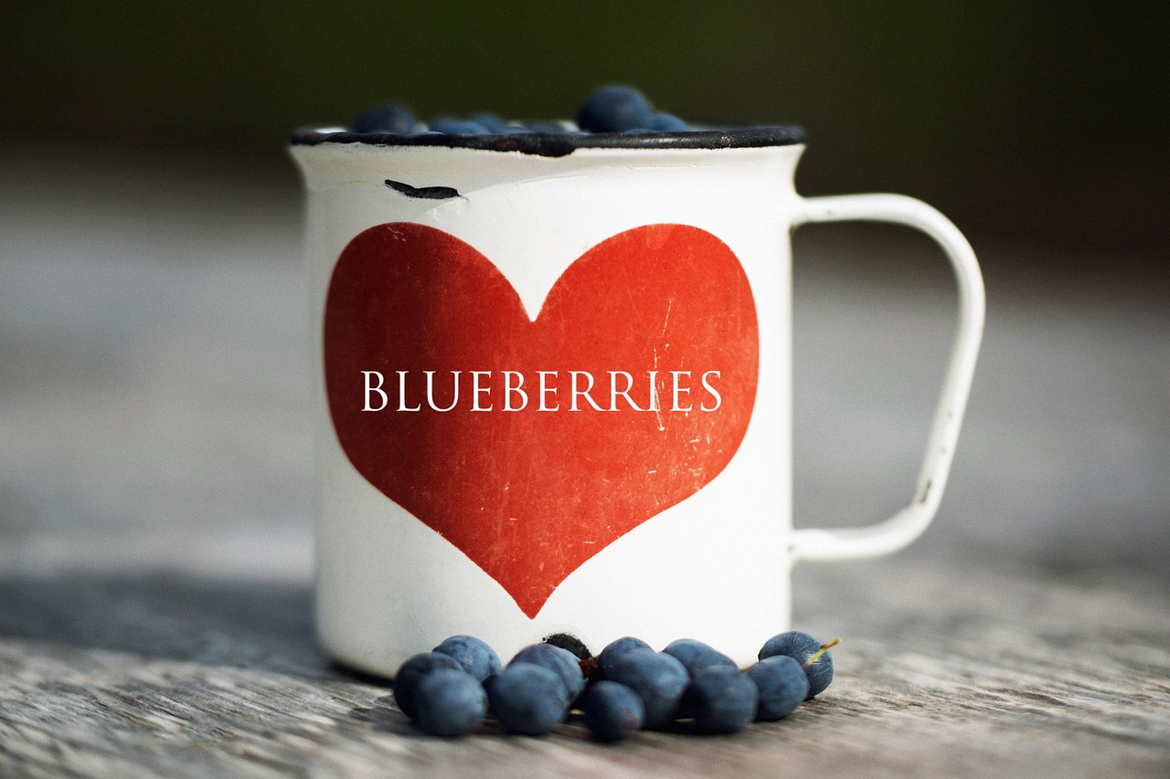 Nature Berry Blueberry - Free photo on Pixabay
