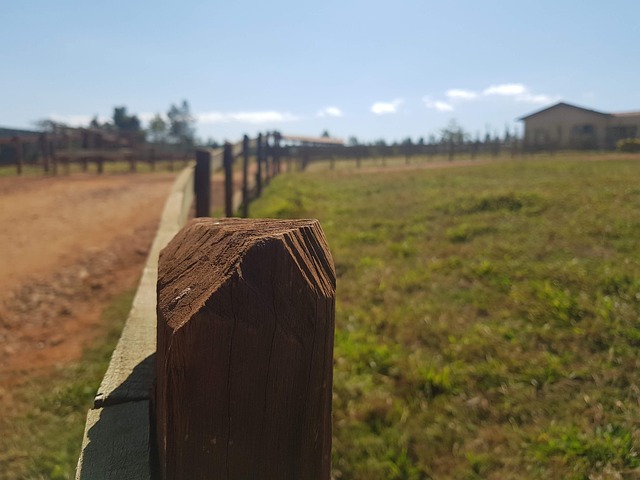 Farm Field Gate - Free photo on Pixabay - Pixabay