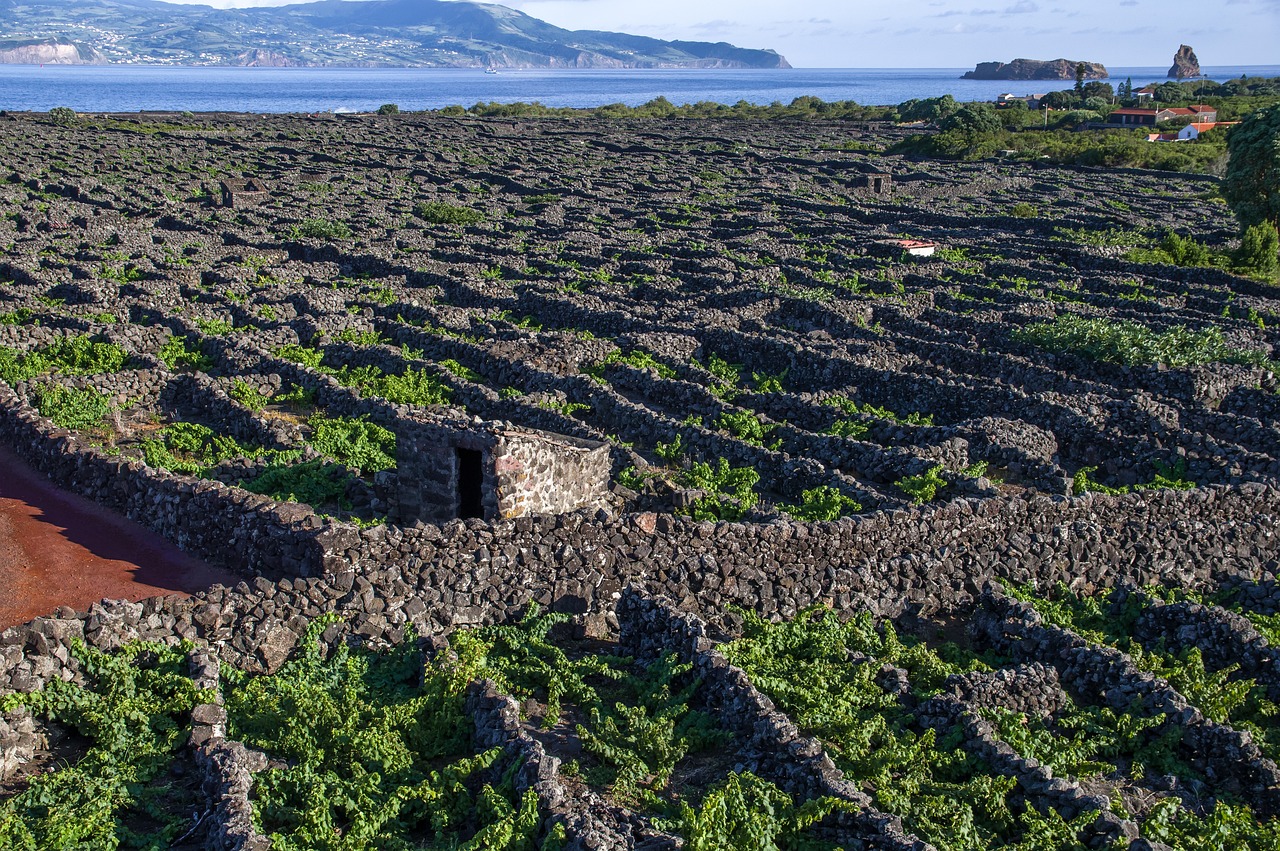 400+ Free The Azores & Azores Images - Pixabay