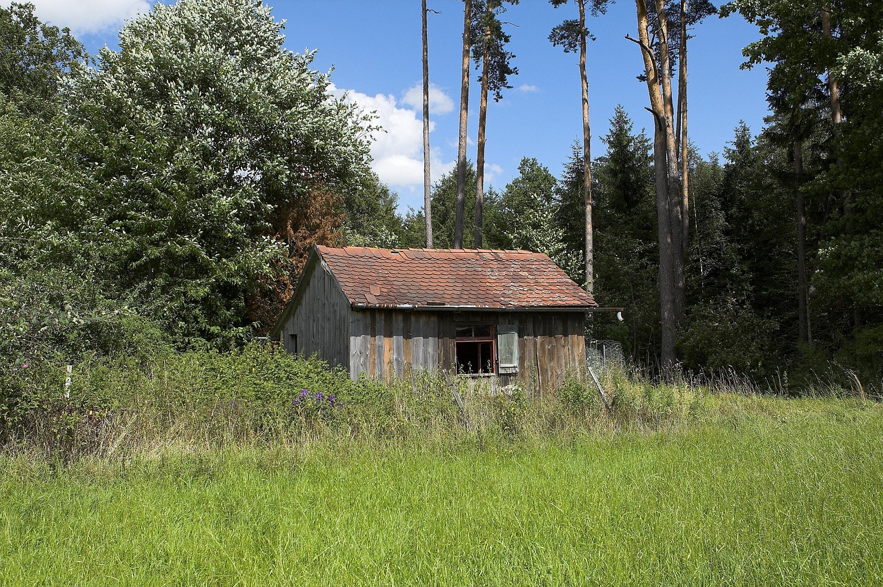 Left House Haunted Abandoned - Free photo on Pixabay - Pixabay