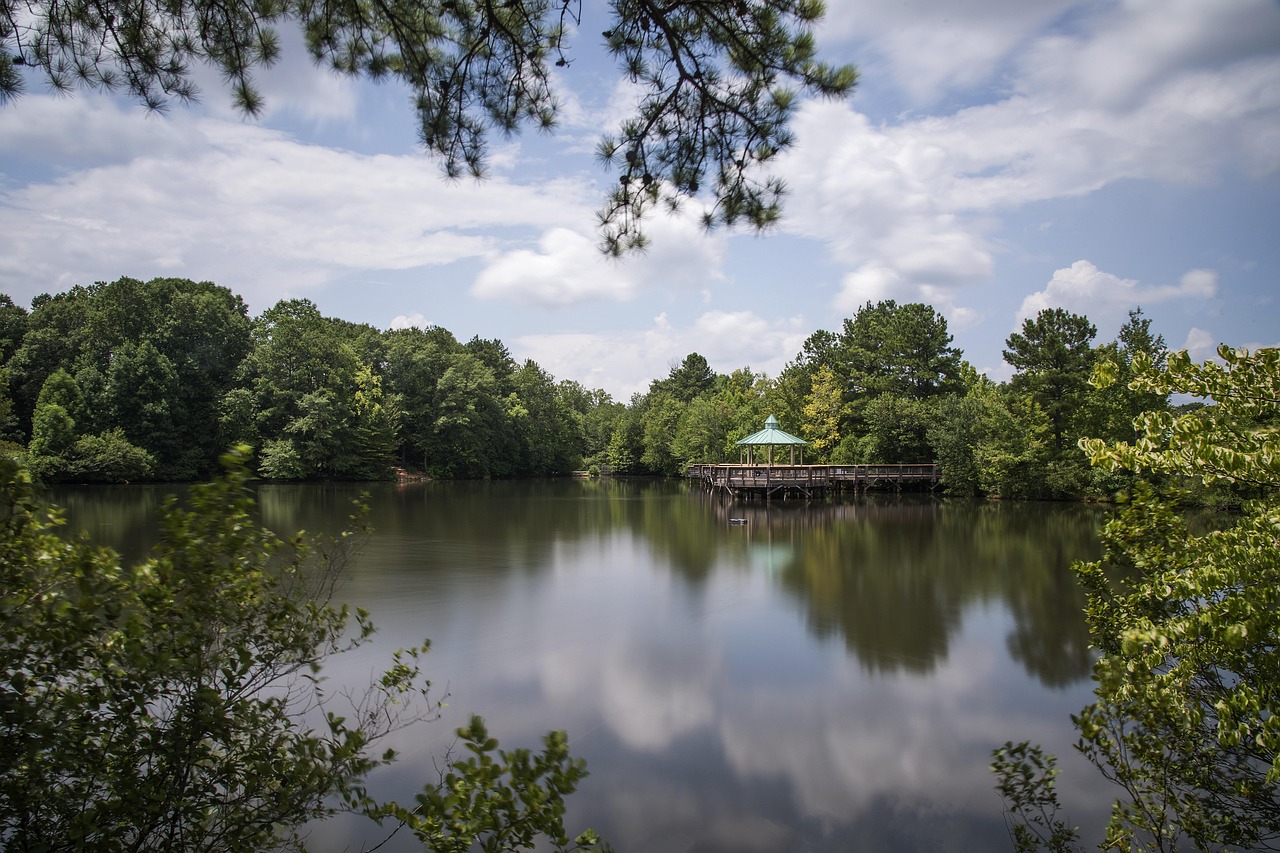 10,000+ Free Atlanta Skyline & Atlanta Images - Pixabay