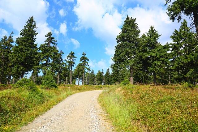 Way Country Nature - Free photo on Pixabay