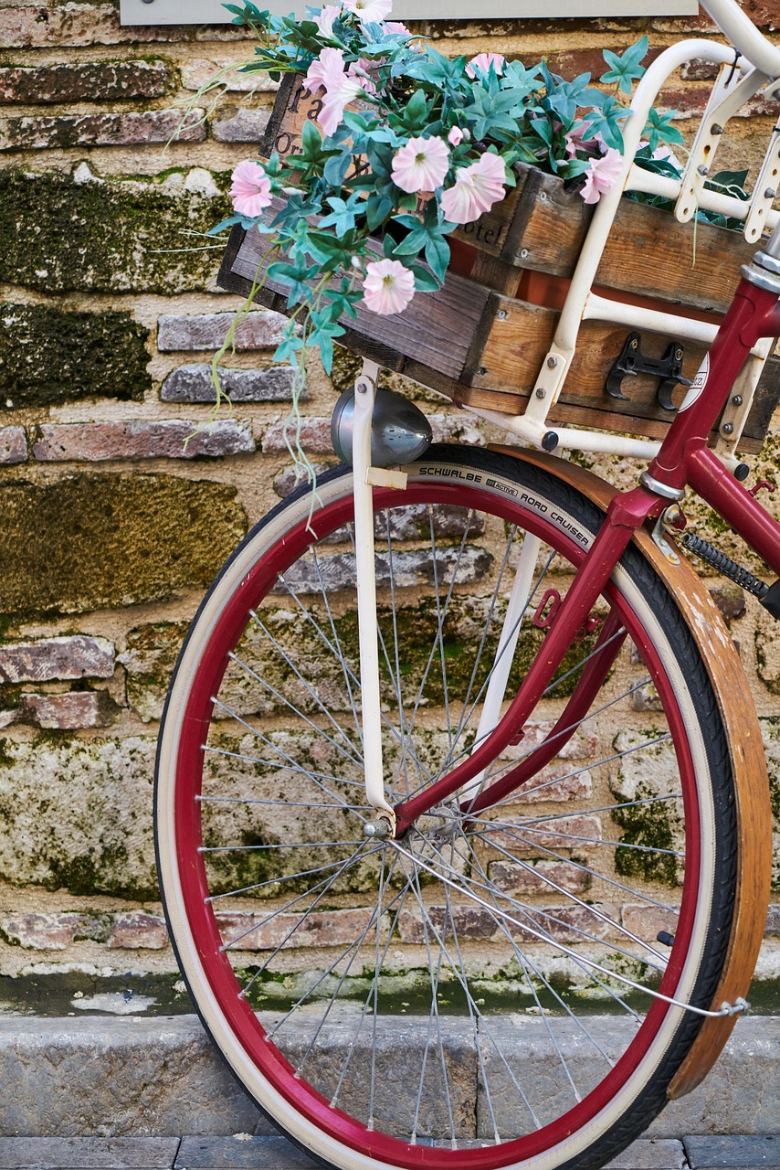 Fleurs La Floraison De Vélo Décor - Photo gratuite sur Pixabay - Pixabay