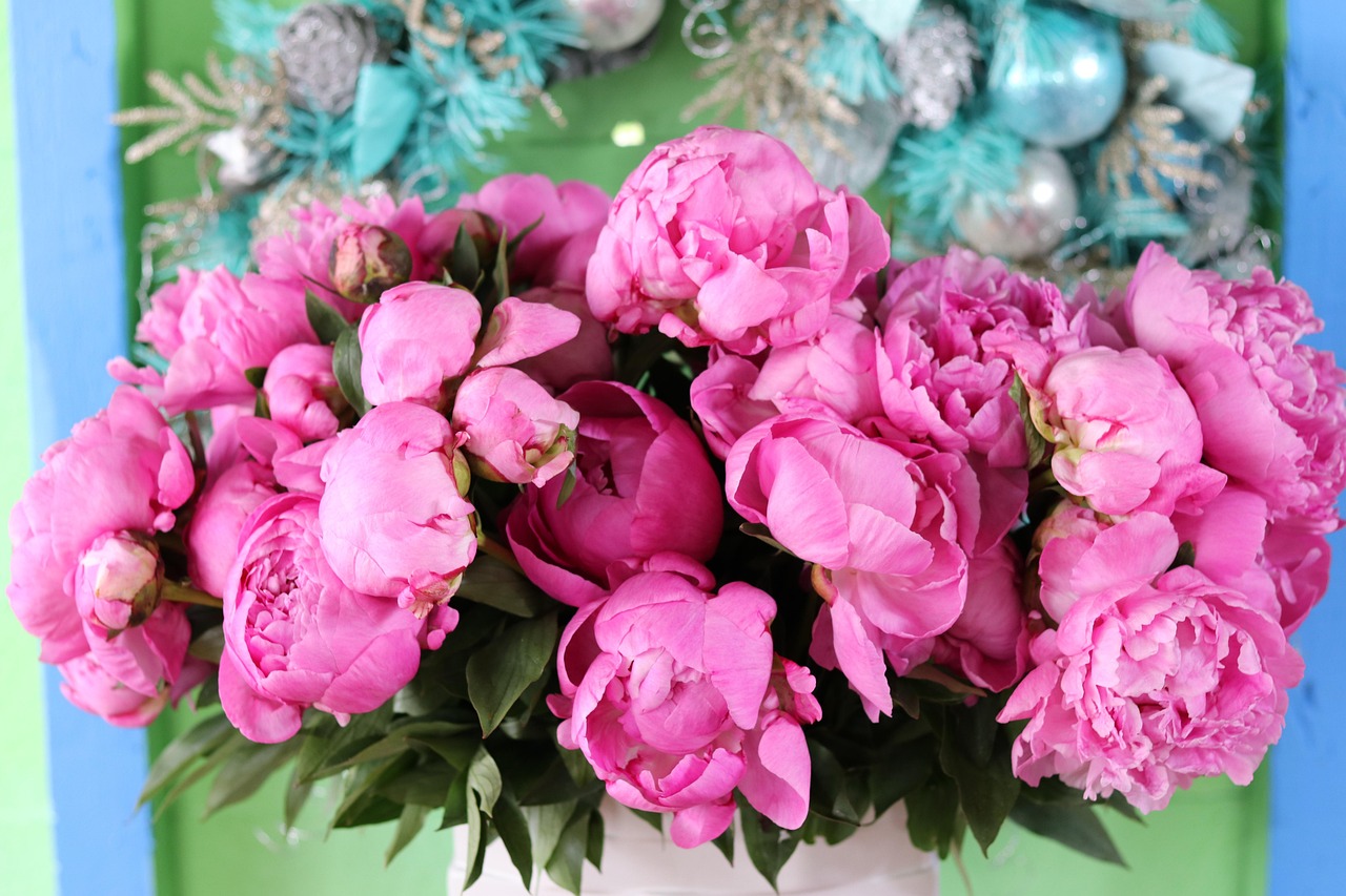 Pink Vase - Free photo on Pixabay