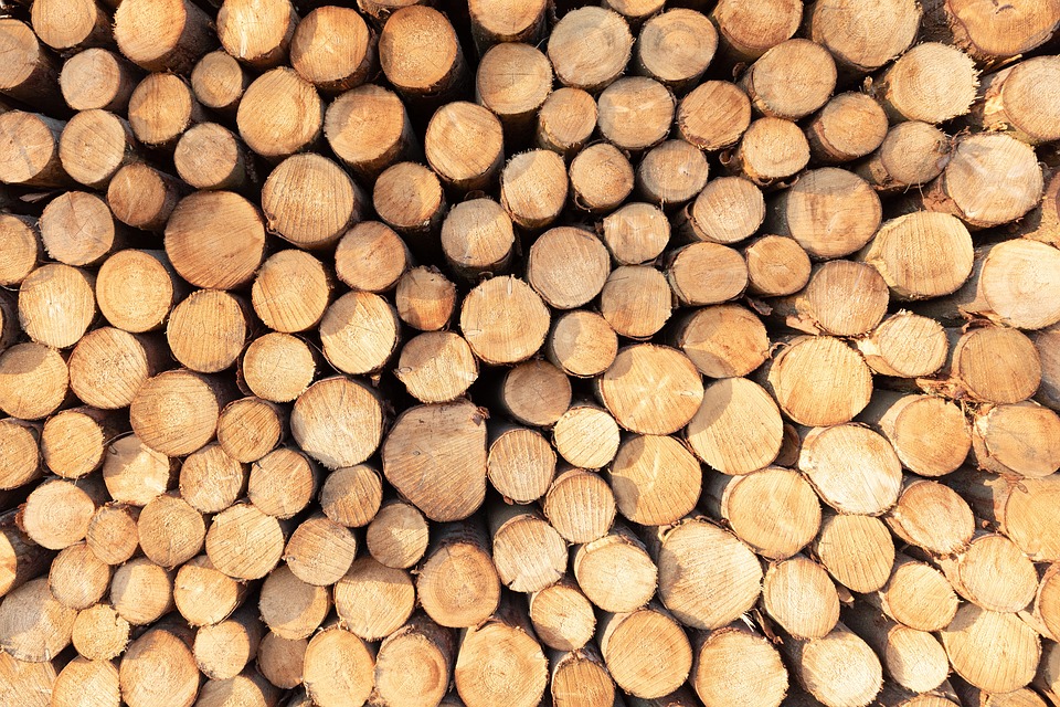 Madera Árbol Tronco De Arbol - Foto gratis en Pixabay