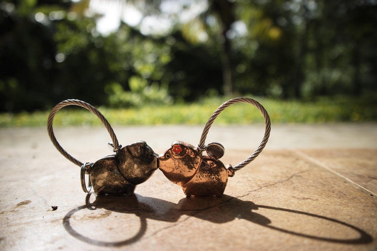 Cerdos Beso Linda - Foto gratis en Pixabay - Pixabay