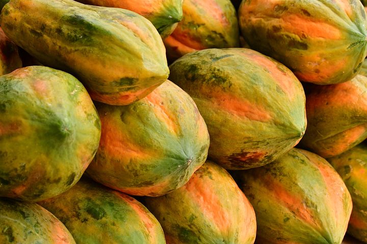 Plus de 300 images de Papaye et de Fruit - Pixabay
