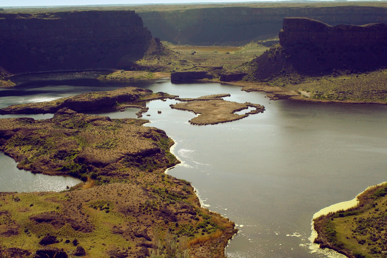 300,000+ Free Prehistoric Landscape & Prehistoric Images - Pixabay