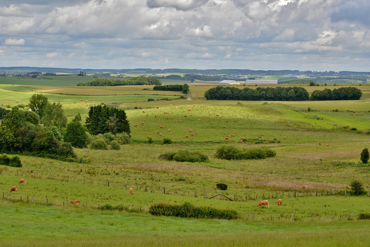 300,000+ Free Hilly Landscape & Hilly Images - Pixabay