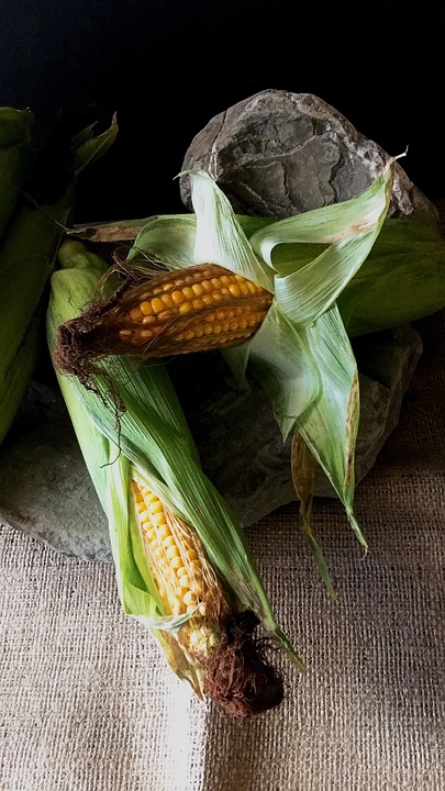 Milho Comida Corn On The Cob - Foto gratuita no Pixabay