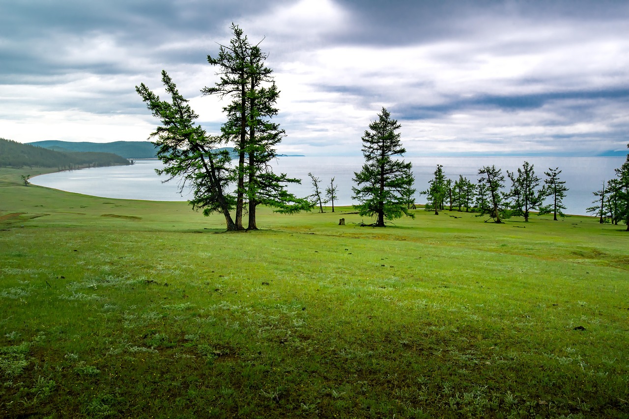 200+ Free Lakeshore & Nature Photos - Pixabay