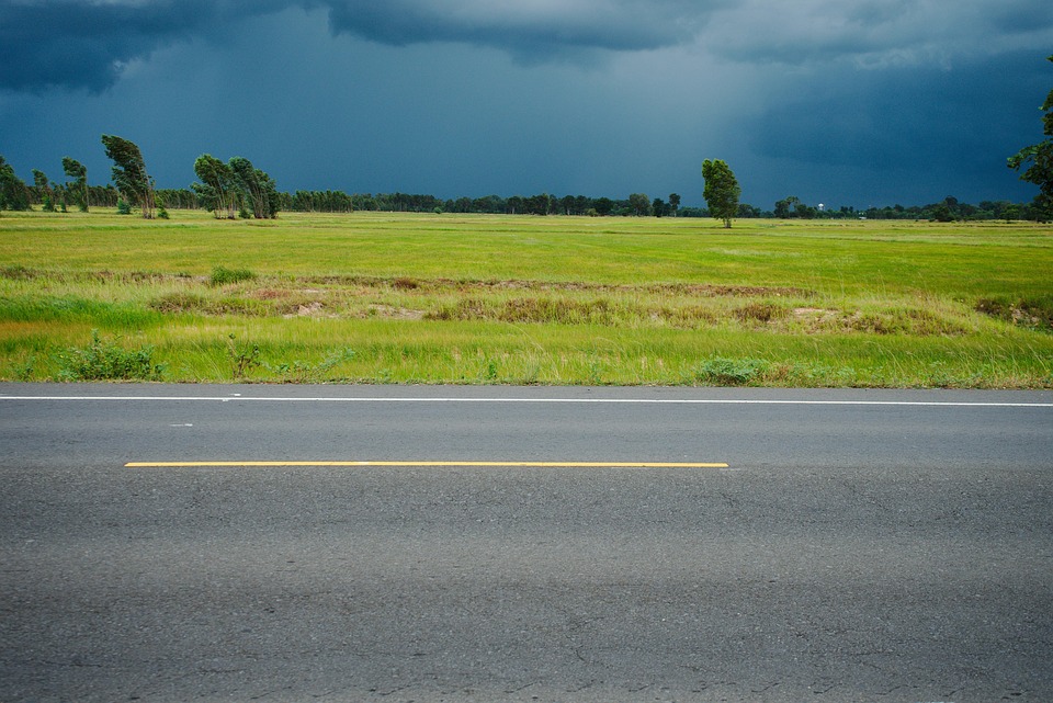 Road Side Veiw