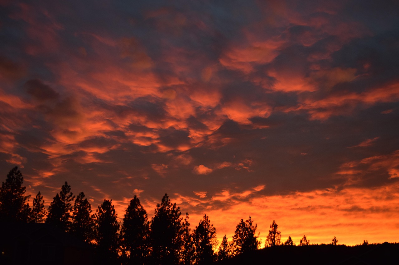 Sunset Sky Horizon - Free photo on Pixabay - Pixabay