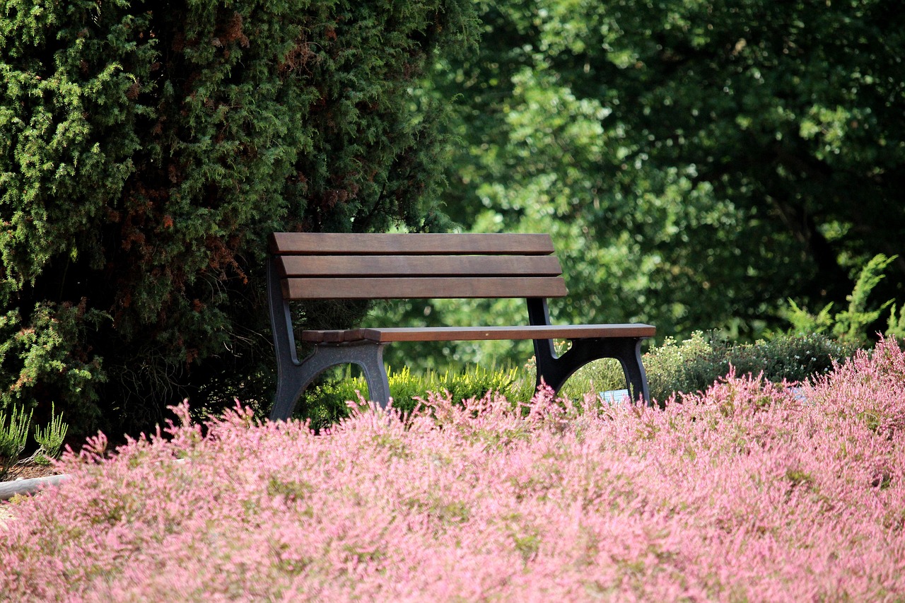 500+ Free Heath & Nature Images - Pixabay
