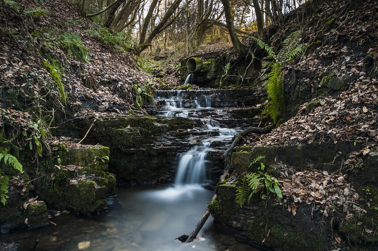 Water River Landscape - Free photo on Pixabay