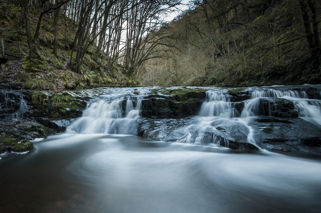 Agua Río Paisaje - Foto gratis en Pixabay - Pixabay