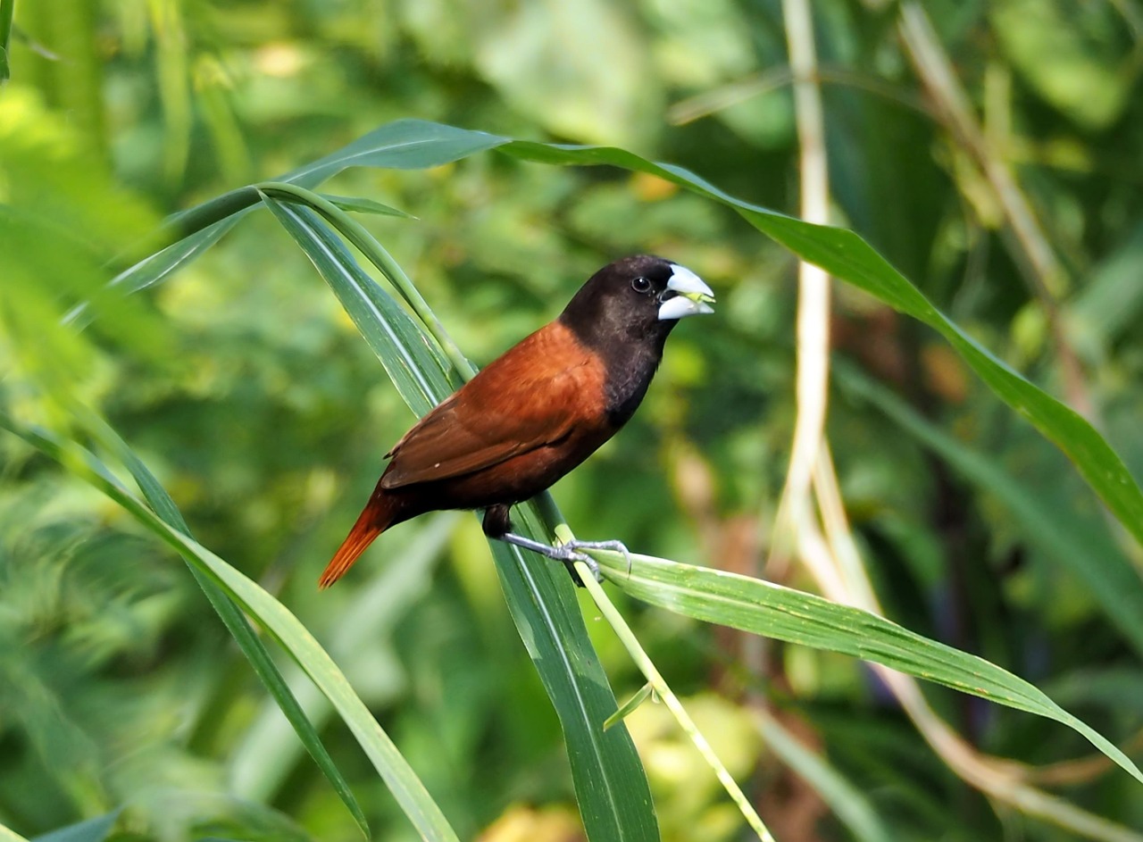 128 beautiful photo results - Pixabay