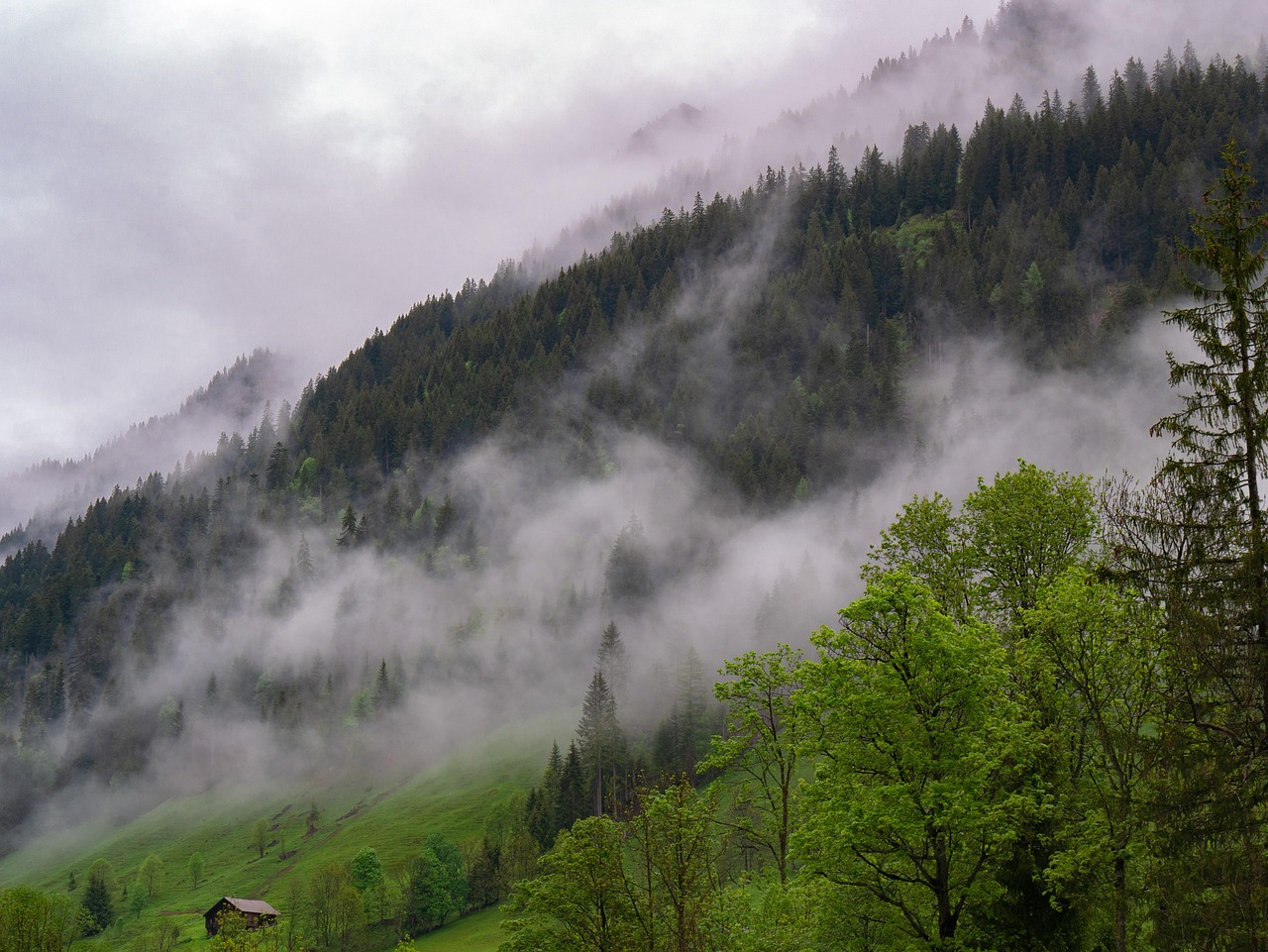 Paisaje Con Niebla