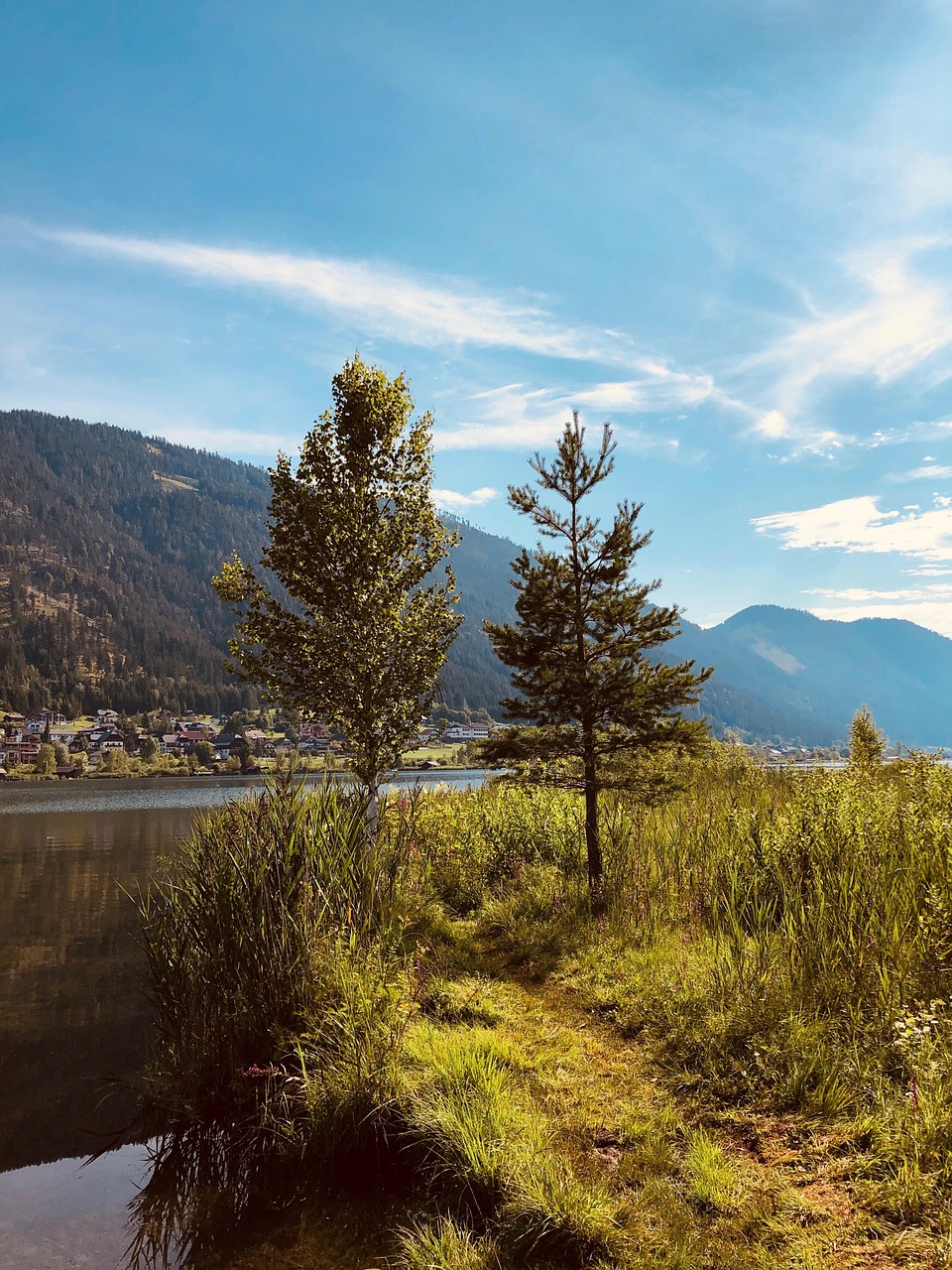 Lac Vacances Des Arbres Bord De La - Photo gratuite sur Pixabay - Pixabay