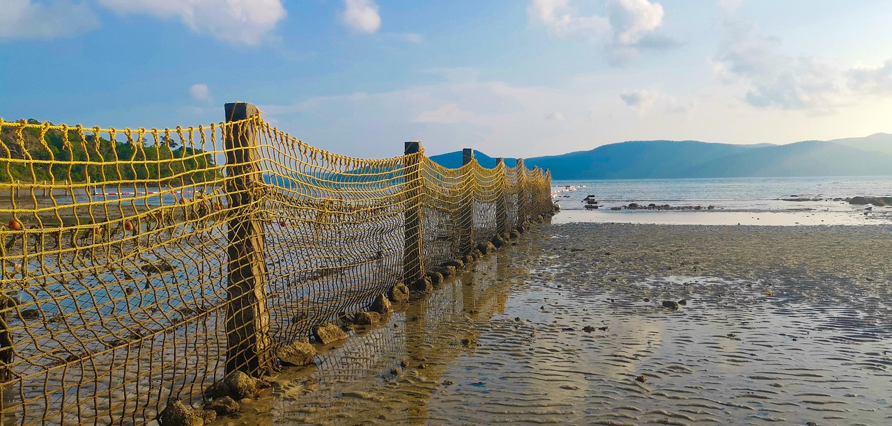 Water Beach Sand - Free photo on Pixabay - Pixabay