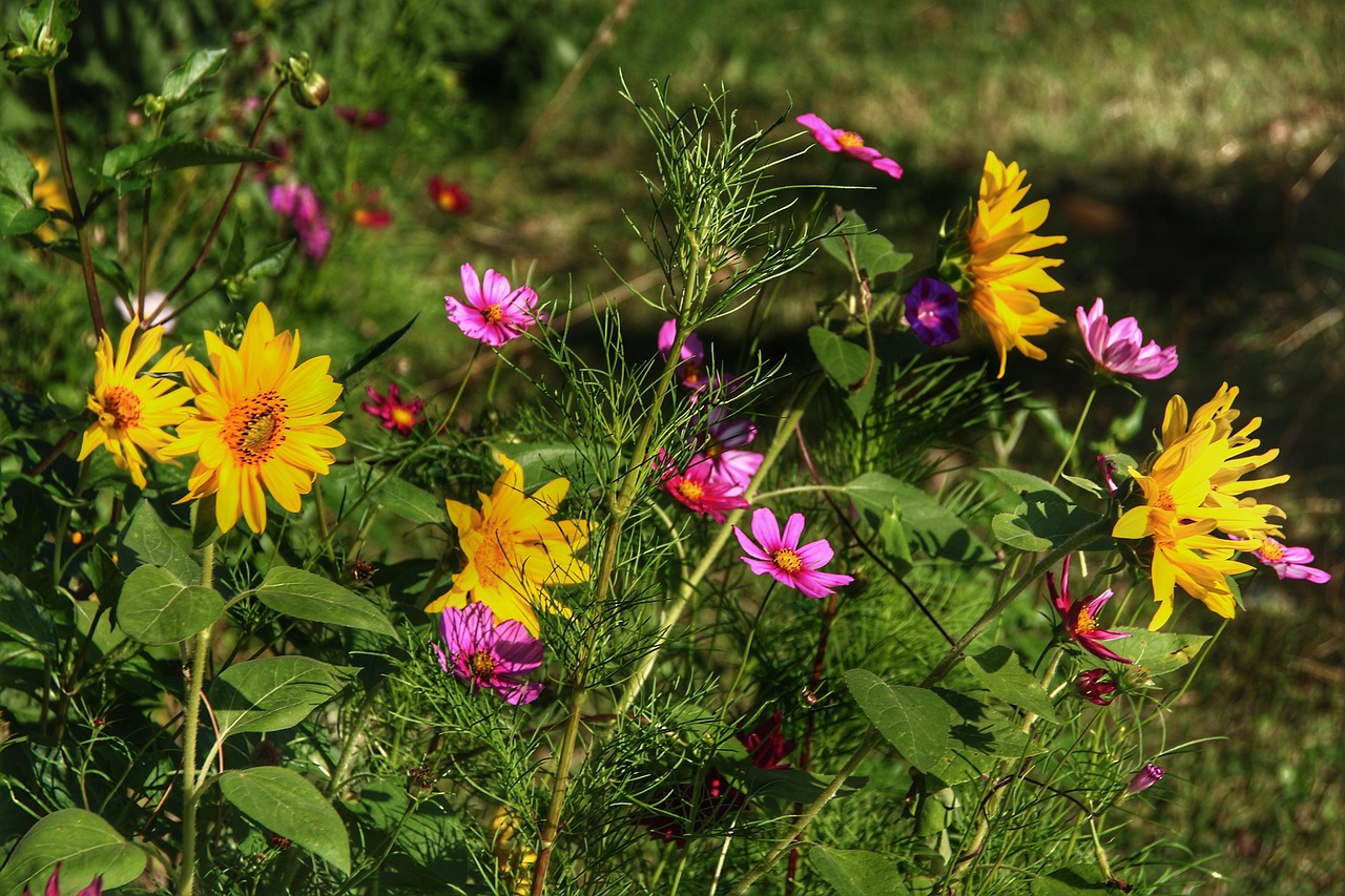 Flora Flores Naturaleza - Foto gratis en Pixabay - Pixabay