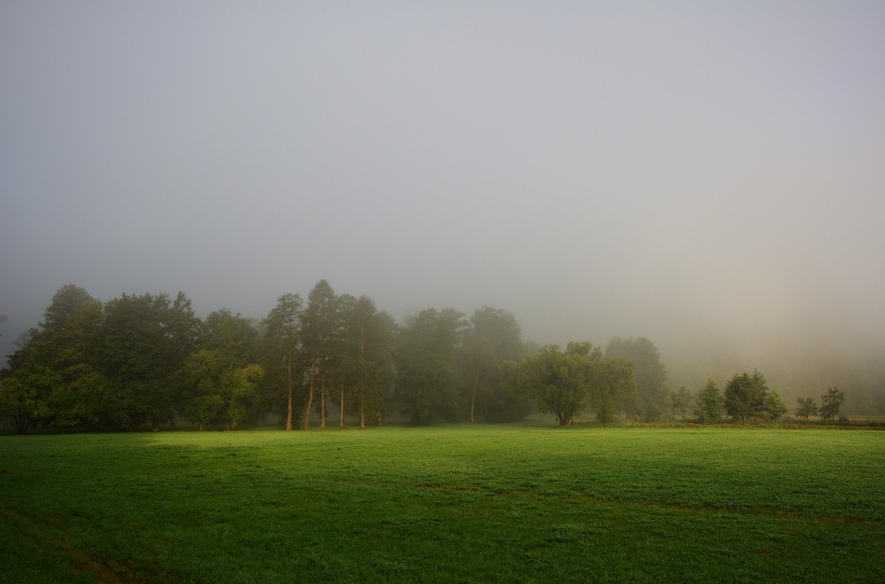 Landschaft Natur Nebel - Kostenloses Foto auf Pixabay - Pixabay