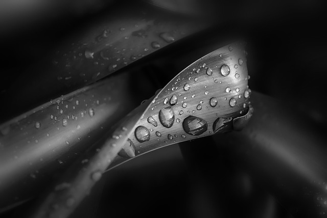 La Nature Goutte D'Eau Gouttes - Photo gratuite sur Pixabay