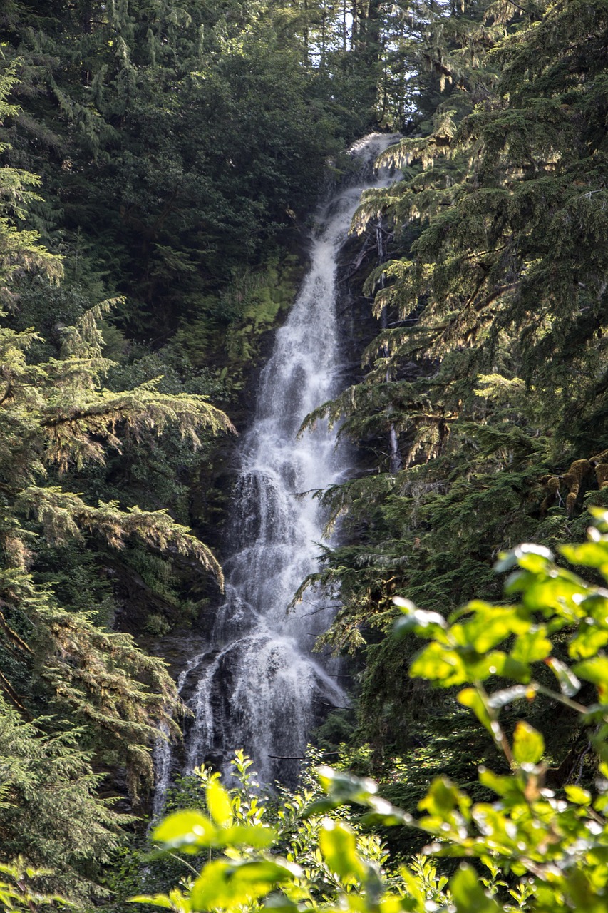 Alaska Waterfall Hidden - Free photo on Pixabay - Pixabay