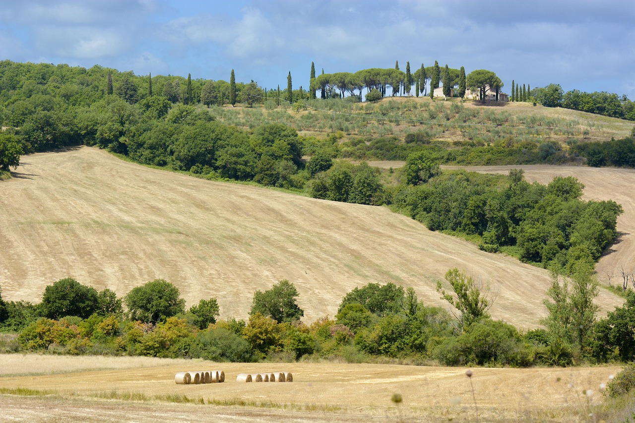 100 + Colline Toscane e Toscana immagini gratis - Pixabay