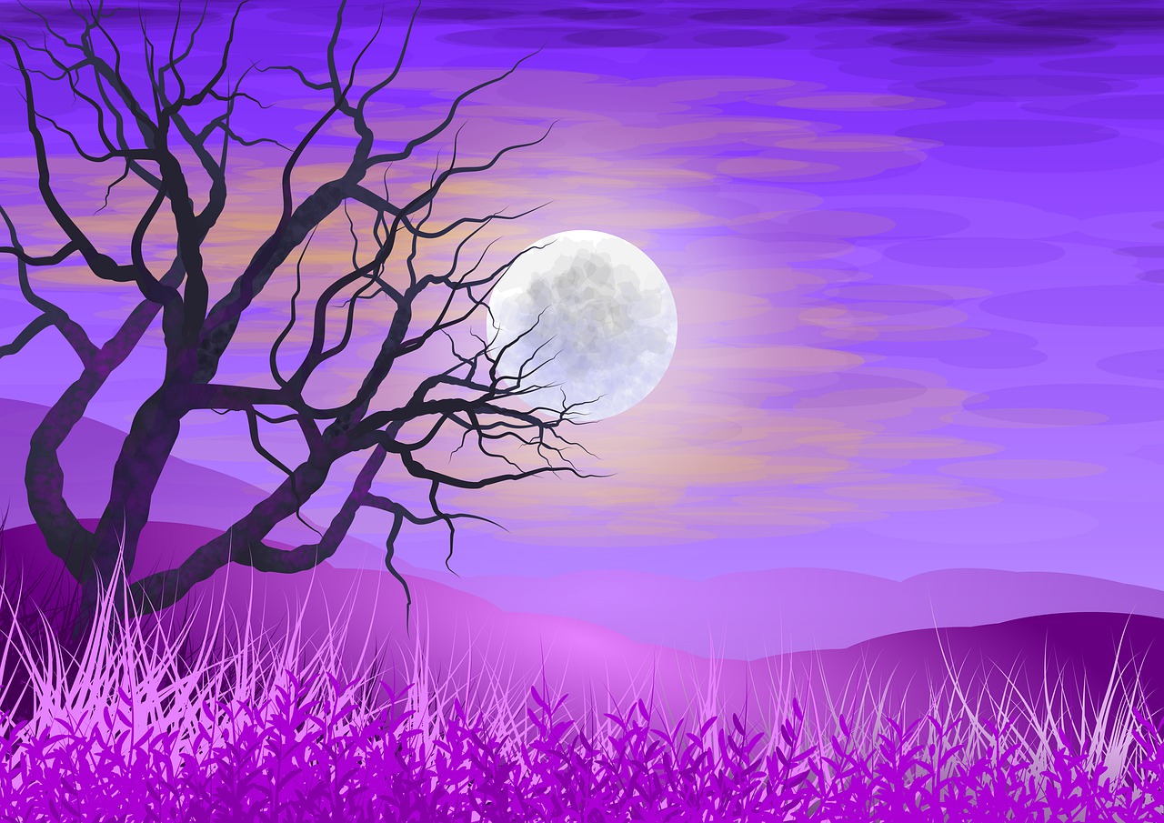 400+ Free Scenario & Nature Images - Pixabay