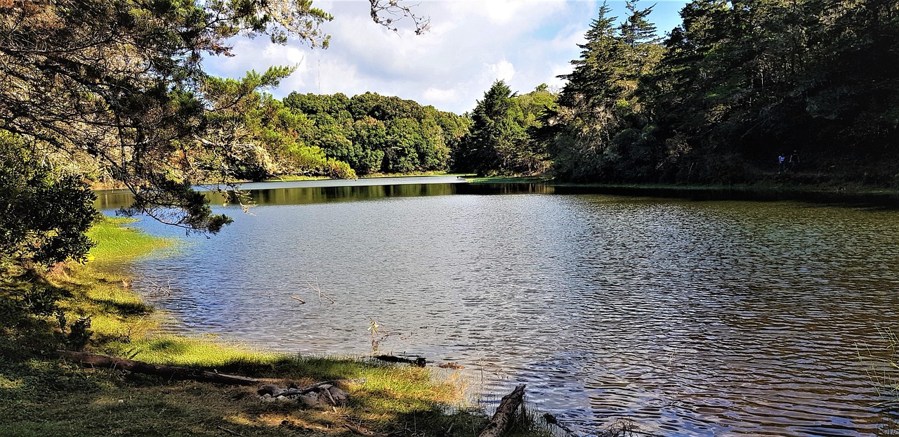 Laguna De Don Manuel Cantón - Foto gratuita no Pixabay - Pixabay
