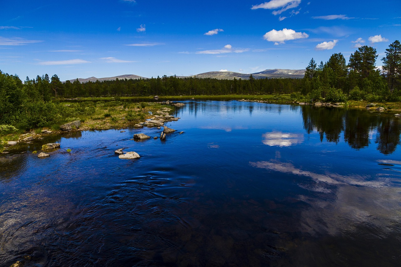 The Nature Of Water Forest - Free photo on Pixabay - Pixabay