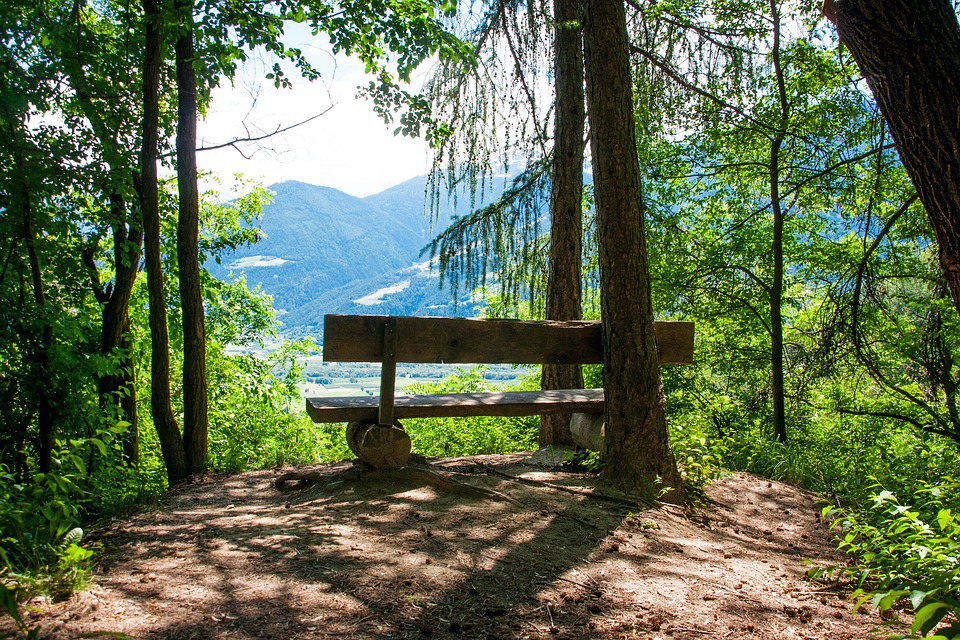 Bank Aussicht Wald - Kostenloses Foto auf Pixabay - Pixabay