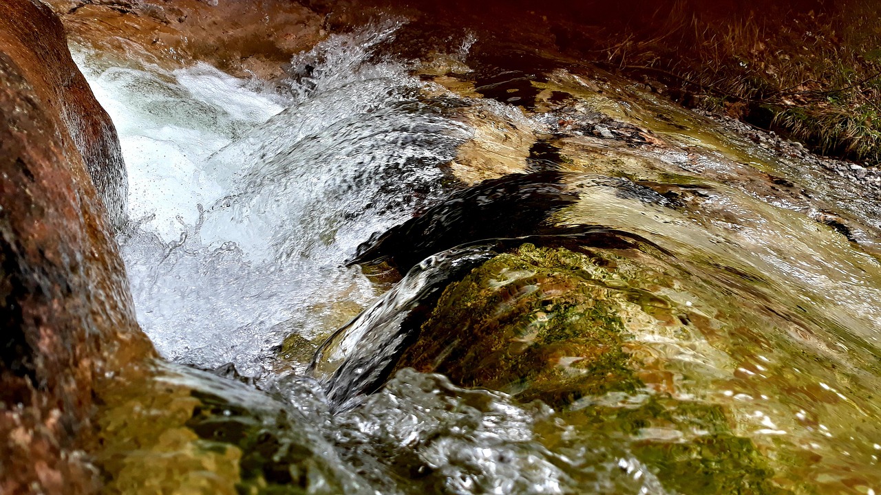 Water Nature Stream - Free photo on Pixabay