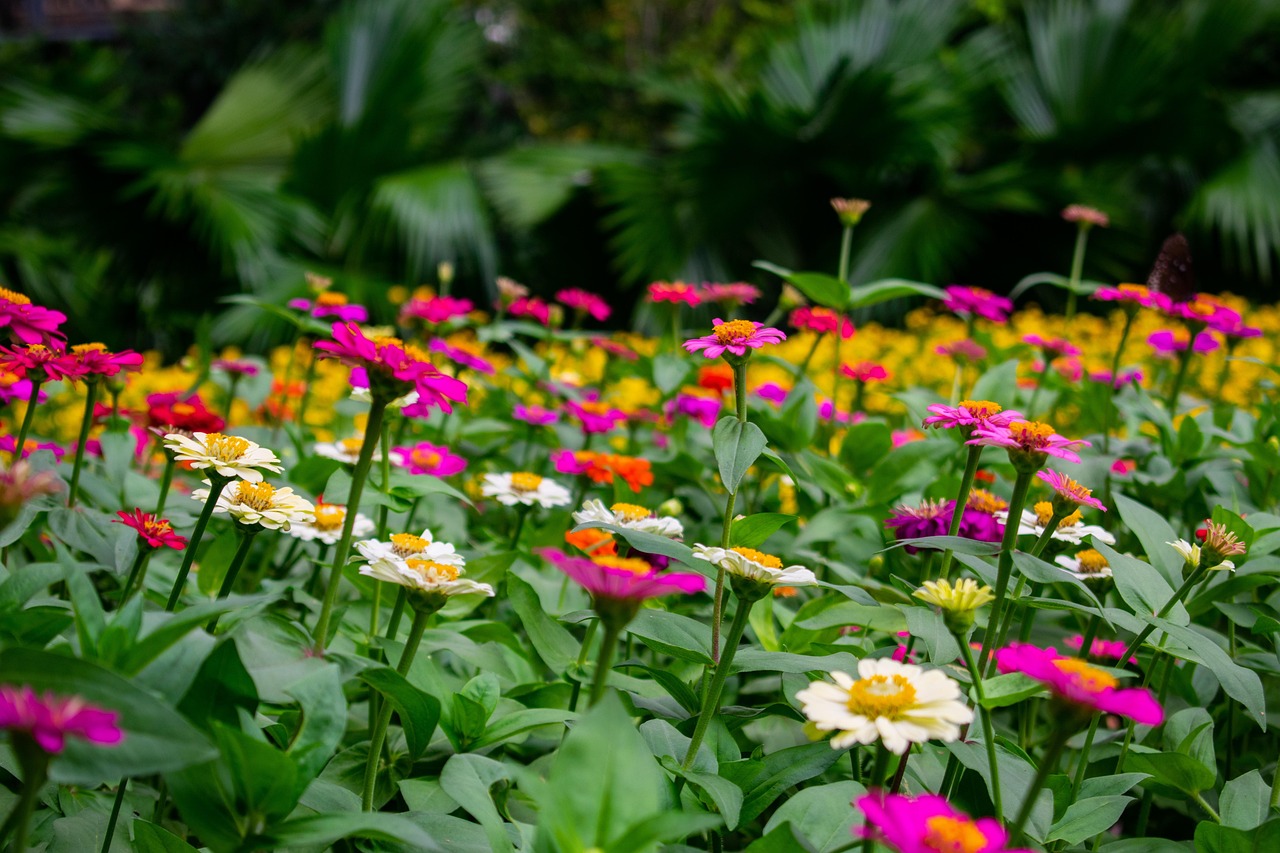 Naturaleza Verde Flores Hojas