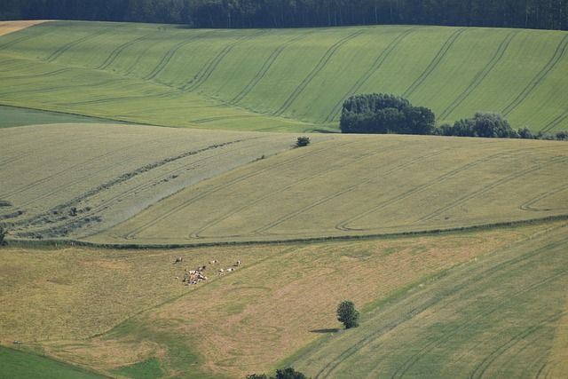 La Nature Vert Paysage - Photo gratuite sur Pixabay - Pixabay