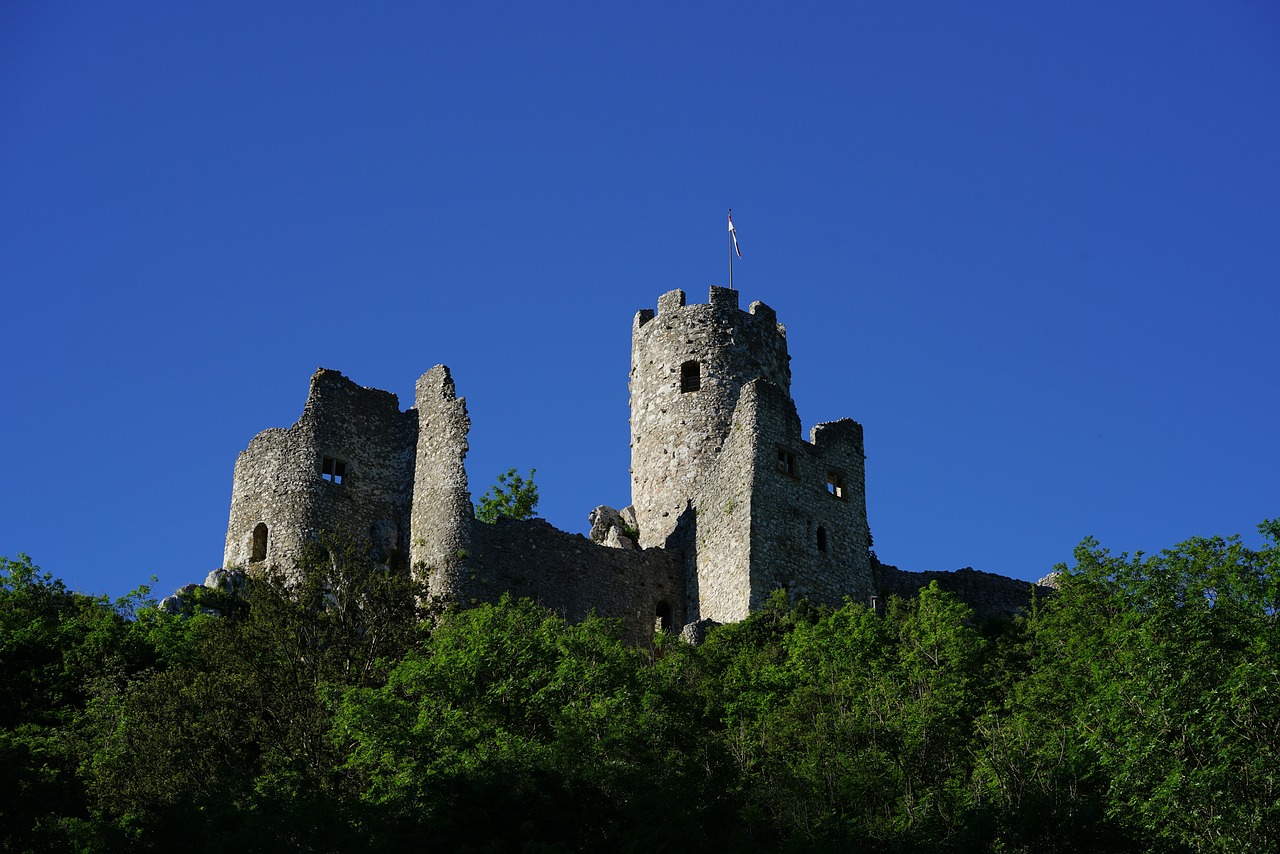 6,000+ Free Falk Från Falkenstein & French Bulldog Images - Pixabay
