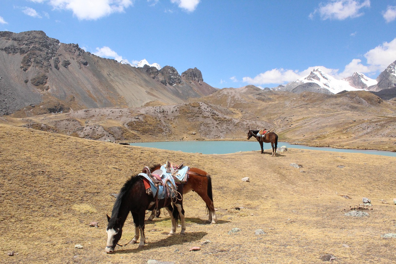 Caballos Paisaje Ausangate - Foto gratis en Pixabay