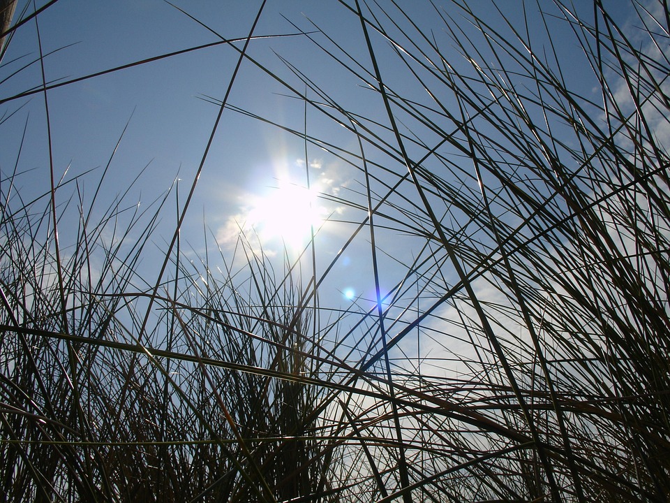Summer Sun Beach Free Photo On Pixabay Pixabay