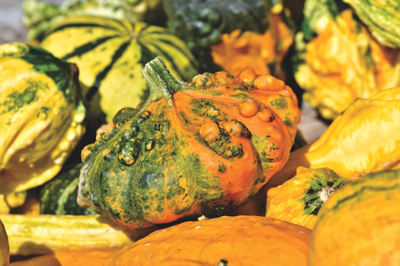 Calabaza Fruta Otoño - Foto gratis en Pixabay - Pixabay
