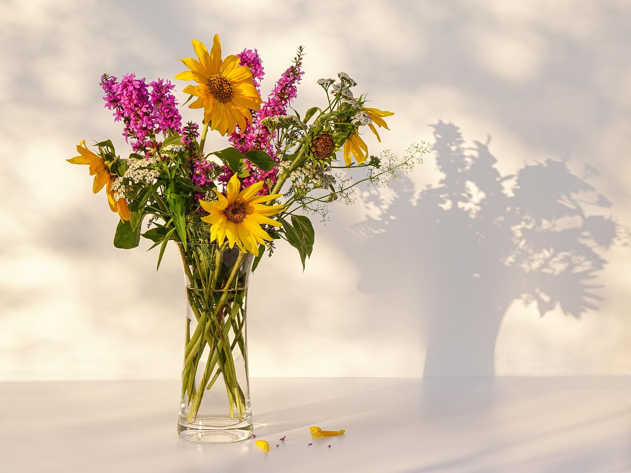 Quiet Summer Life Of Flowers - Free photo on Pixabay - Pixabay