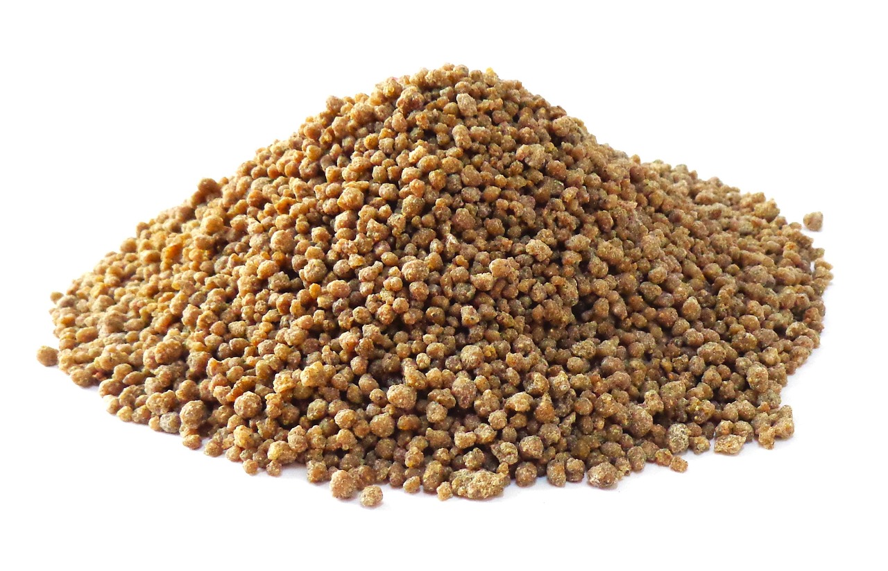 Aliments Thiakry Deguè - Photo gratuite sur Pixabay