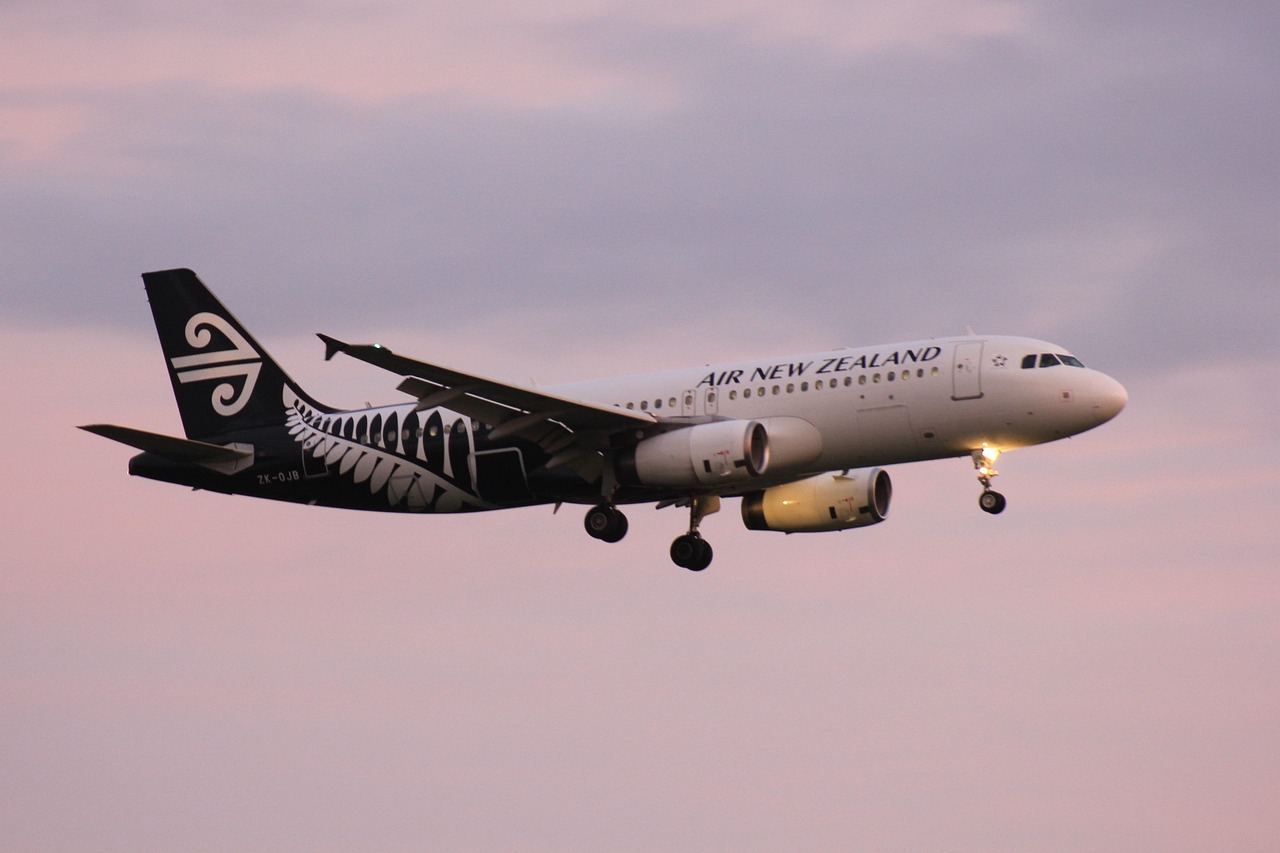 Air Nz New - Free photo on Pixabay