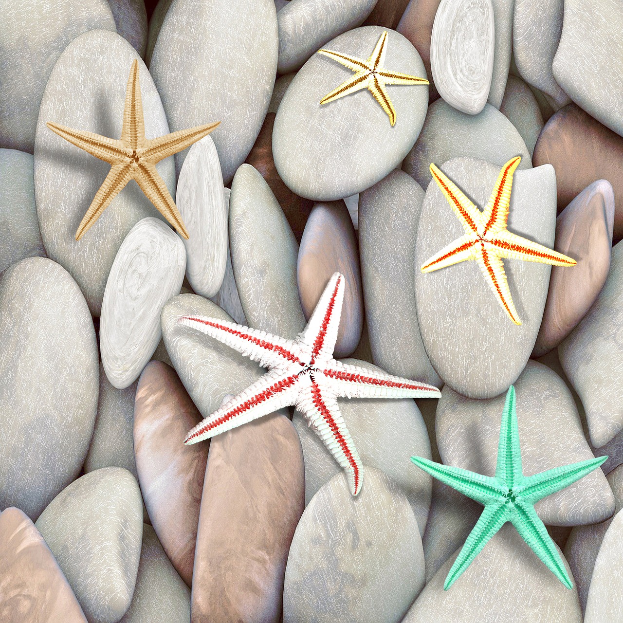 Download Sea Stars Colors Stones Royalty-Free Stock Illustration Image ...