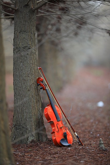 1,000+ Free Violin & Music Images - Pixabay