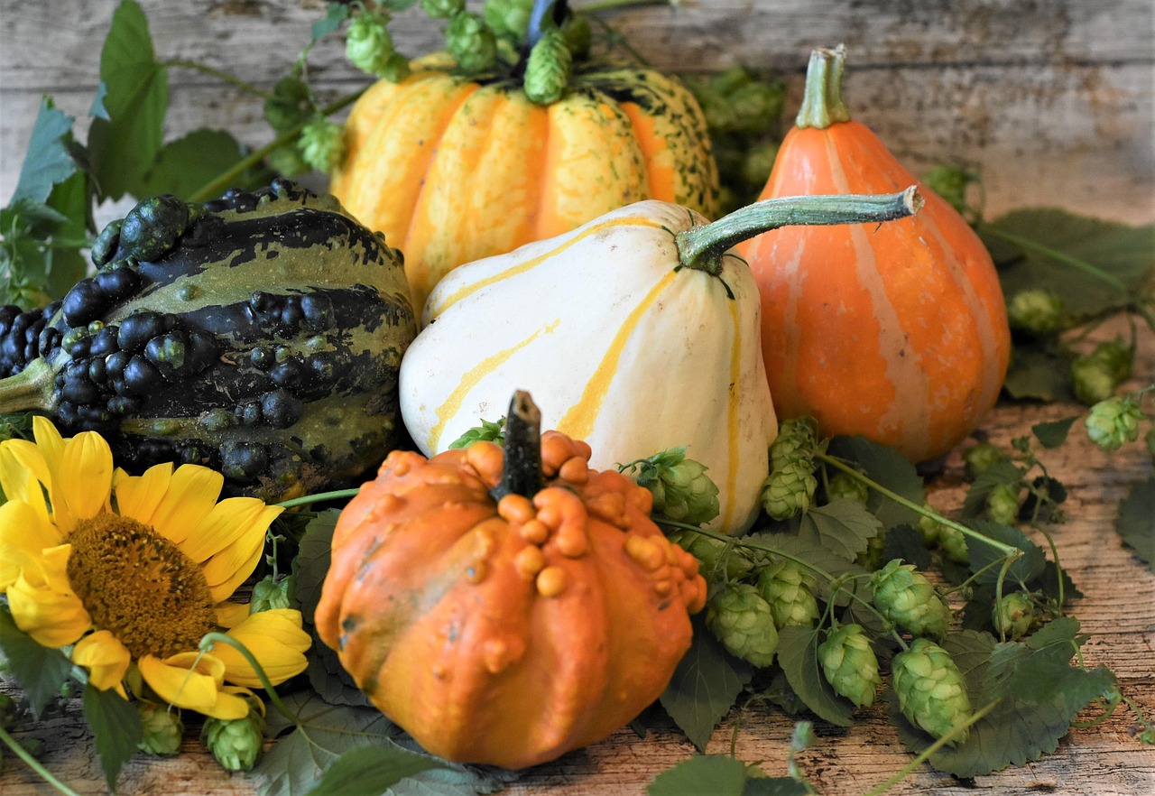 Pumpkins Hop Gourd - Free photo on Pixabay - Pixabay